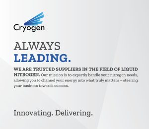 Company Values - Cryogen